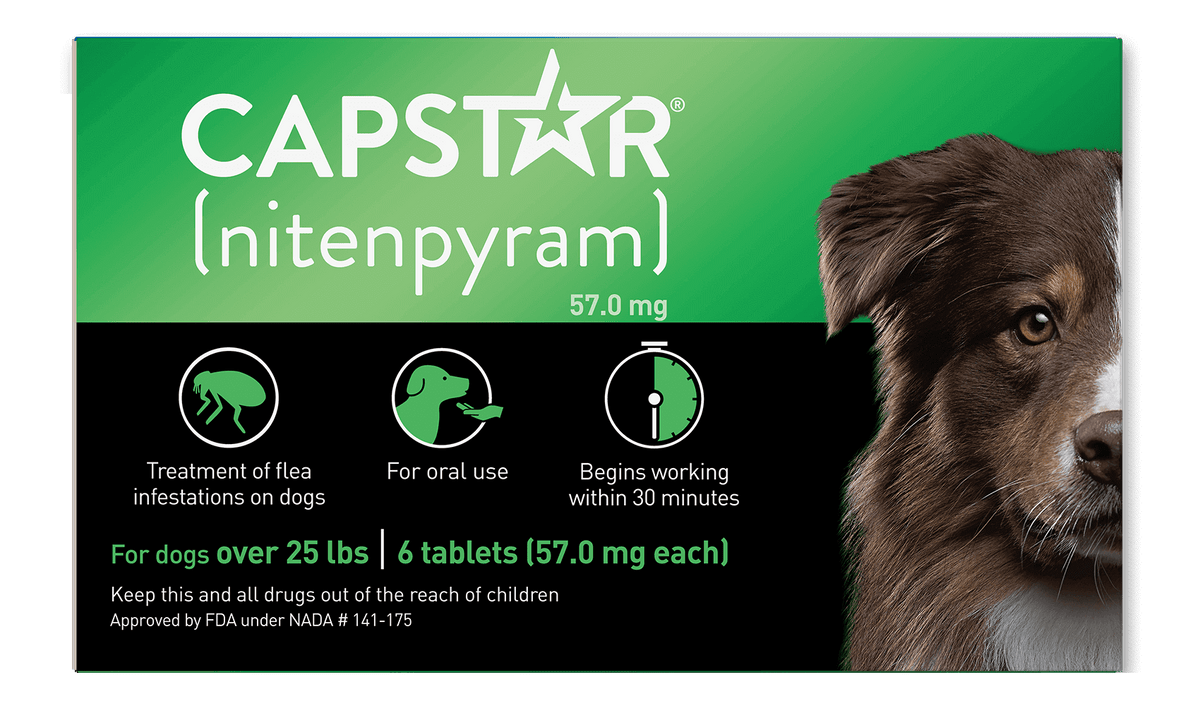 CAPSTAR® (nitenpyram) Oral Flea Treatment for Dogs - Olympia, WA ...